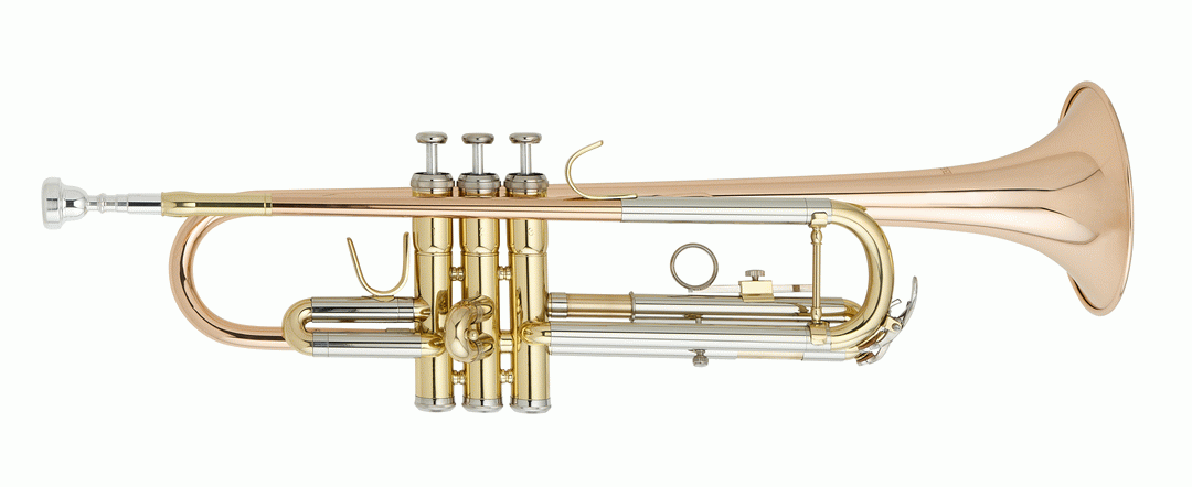 Wind Instruments – DOREMi Sound & Light Sdn Bhd (241517-U)