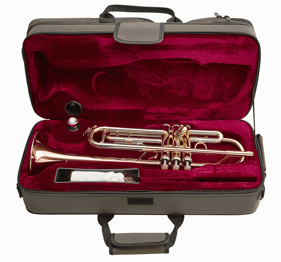 Beale TR200 Trumpet with Case – DOREMi Sound & Light Sdn Bhd (241517-U)