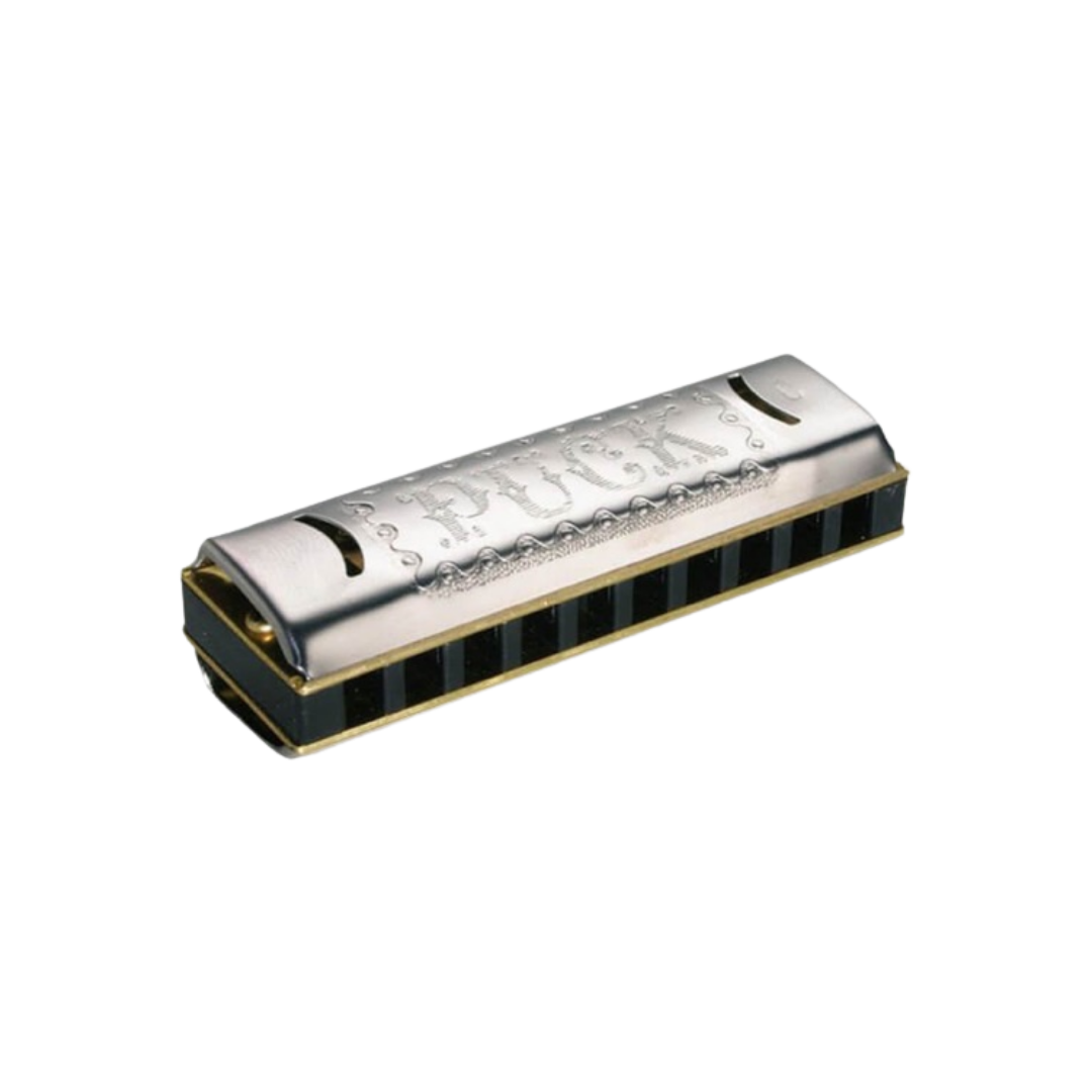 Hohner Miniature Series Puck Harmonica 10-Hole Diatonic Harmonica - Ke ...